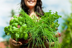 The health and emotional benefits of gardening | SanDiegoWellness.com